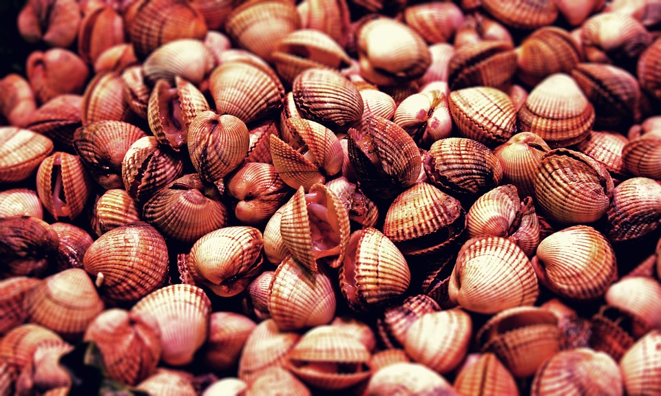 Claves para el crecimiento del sector de productos del mar