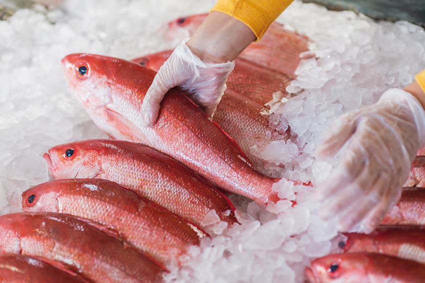 El consumidor de productos del mar